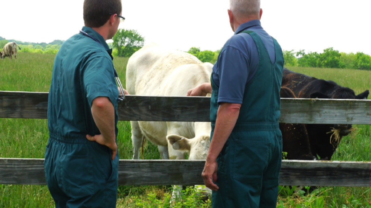 AABP Creates 'Using Credentialed Veterinary Technicians in Bovine ...