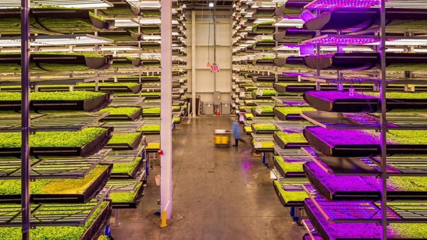 How Aerofarms’ New CEO Plans to Bring a CPG Playbook to Indoor ...