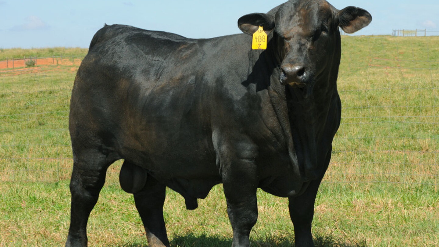 Seminole Tribe of Florida Sells its Interests in Salacoa Valley Farms ...