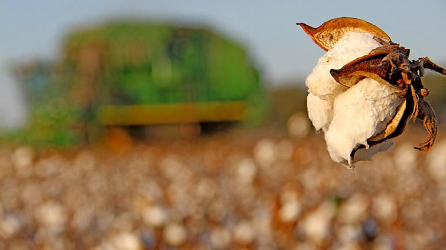 Pro Farmer, Farmer Estimates Ahead of Prospective Plantings Report ...