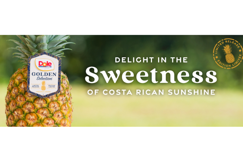 Dole unveils Golden Selection pineapple - The Packer - Fruit and ...