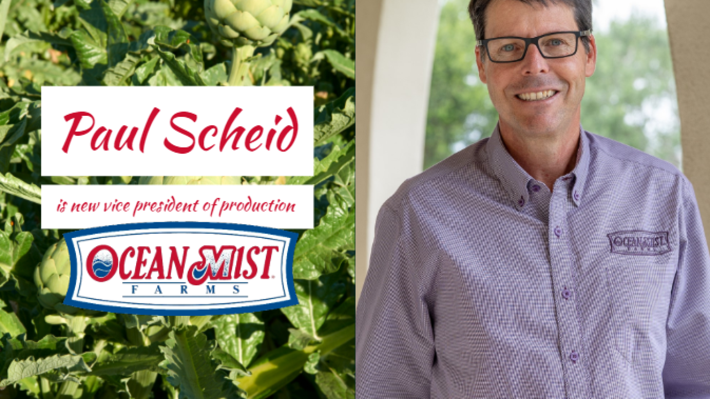 Paul Scheid joins Ocean mist as VP of production - The Packer