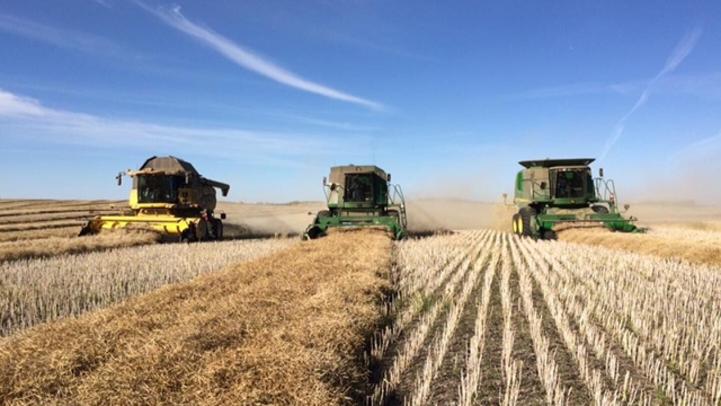 John Phipps: Will Farm Consolidation Consume U.S. Agriculture? - AgWeb