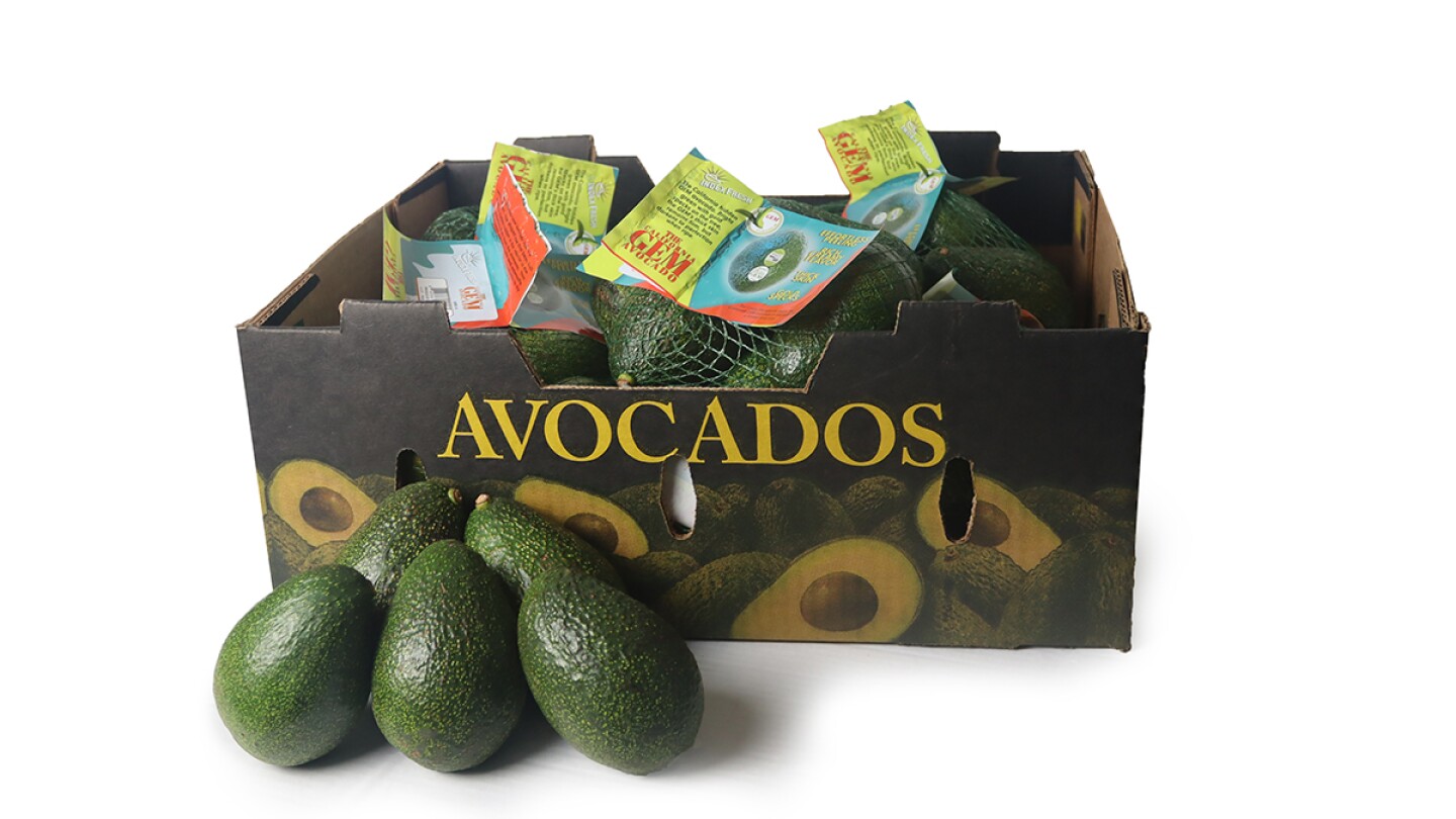 Gem avocado market expands with Costco, Index Fresh partnership - The ...