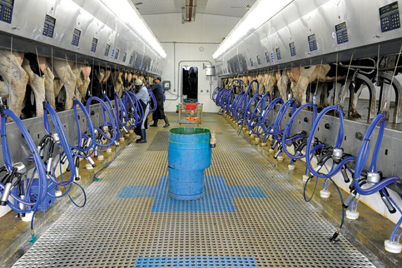 Mastitis Protocols - Dairy Herd