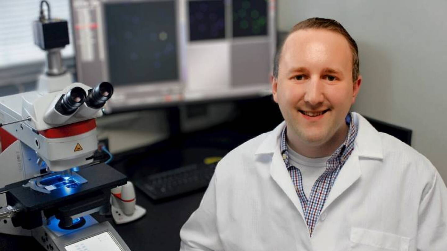 How Does Iowa State Research on Swine Sire Fertility Impact Cattle ...