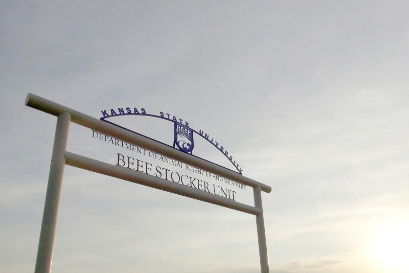 KSU Beef Stocker Field Day To Be Held Virtually