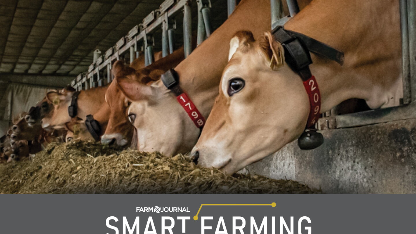 What to Consider Before Adopting New Technology - Dairy Herd