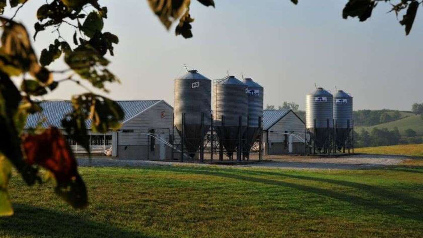 Researchers Examine Trailer Contamination at Harvest Plant and On-Farm ...