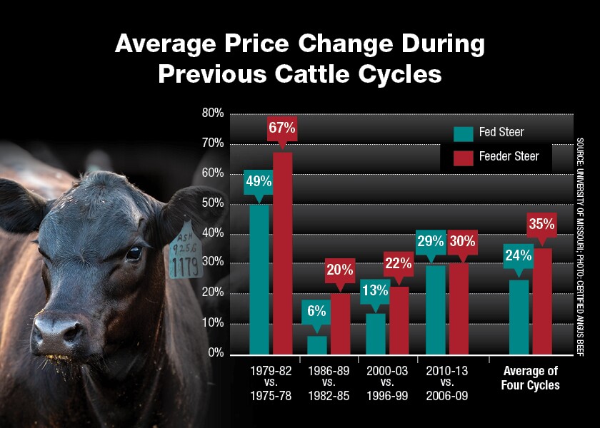 cattle cycles