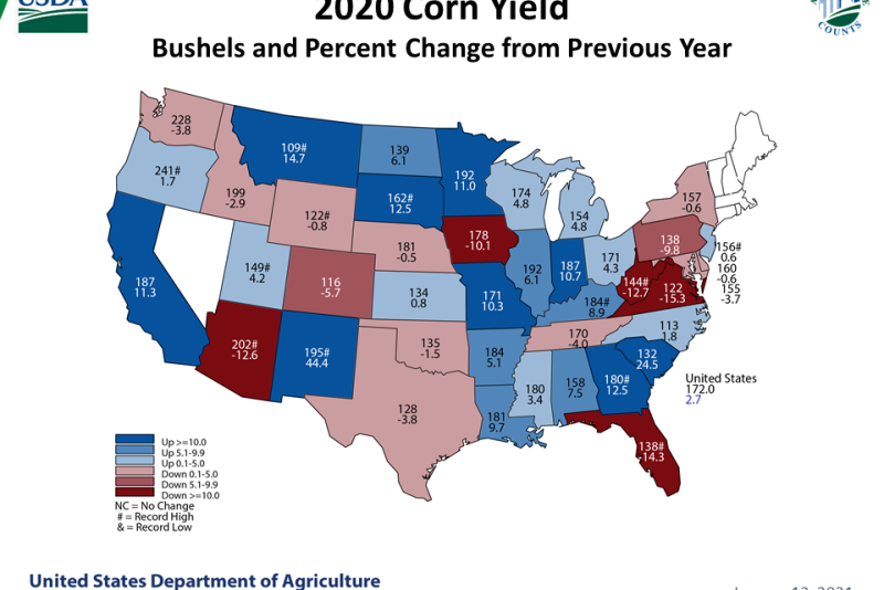 USDA’s Historic Cut to Yield Sends Corn Limit Up - AgWeb