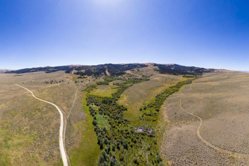 How Habitat Management Plans Drive Healthier Land, Livestock and ...