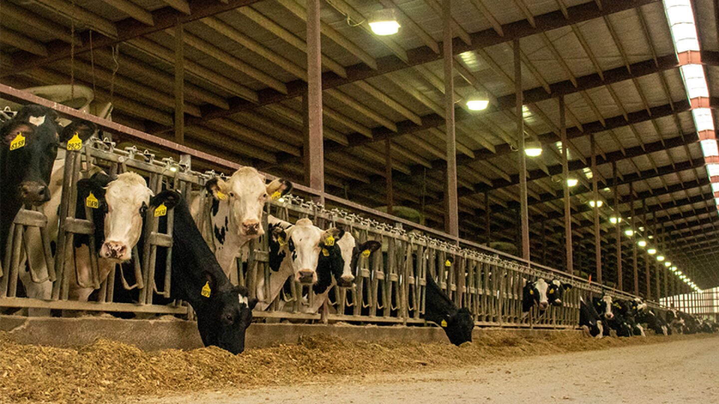 Milk Production Declines in December as Per-Cow Output Slips - Dairy ...