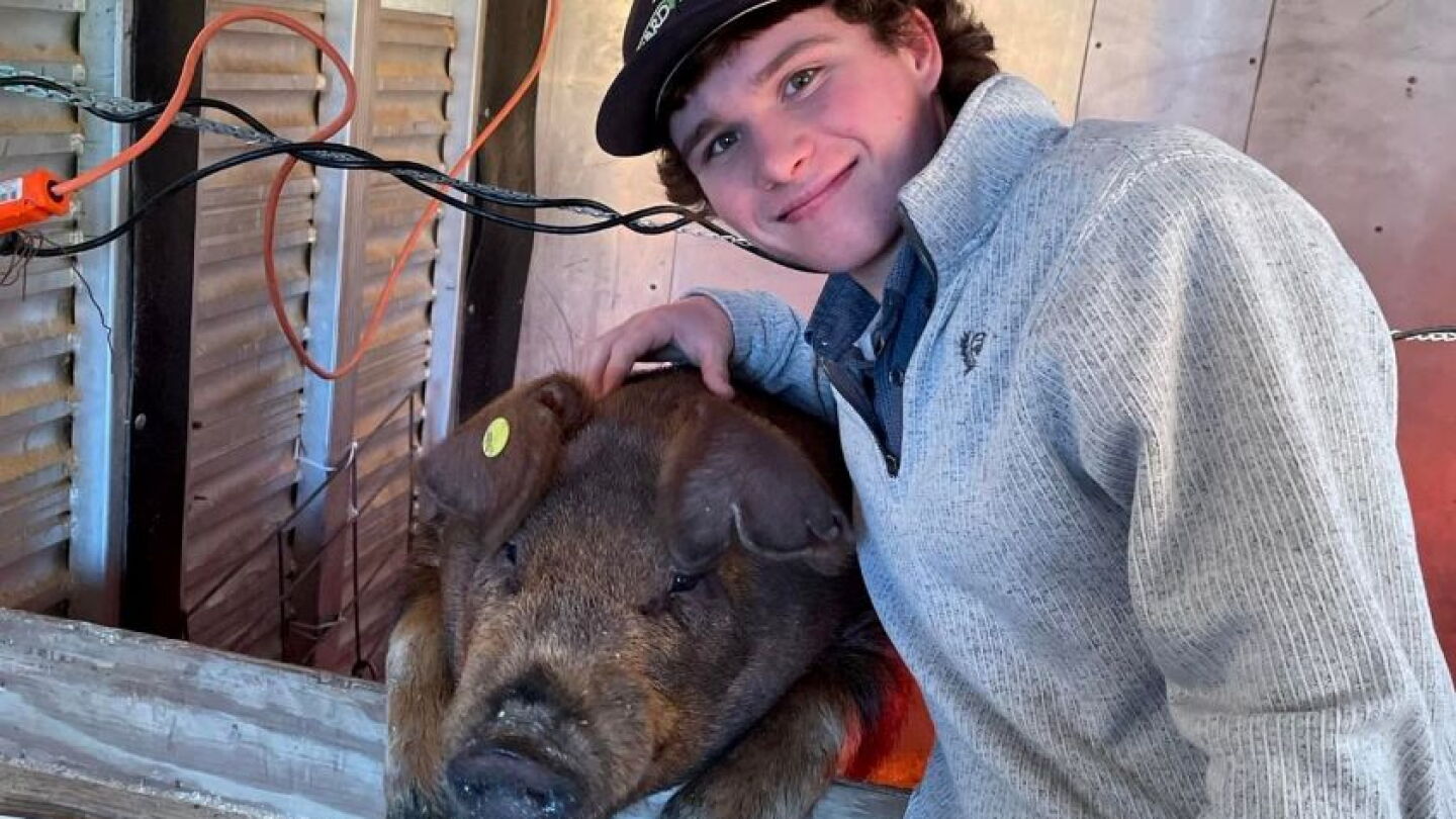 Stolen Show Pigs Found After 48-Hour Search in Denver - Pork Business