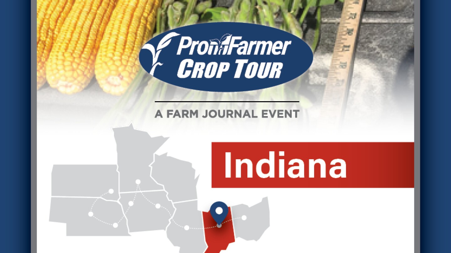 Crops Continue to Impress in Indiana While Dryness Takes a Toll on ...