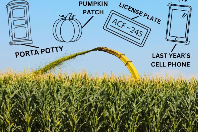 Farmers Share Weird Field Finds During Silage Harvest - Dairy Herd