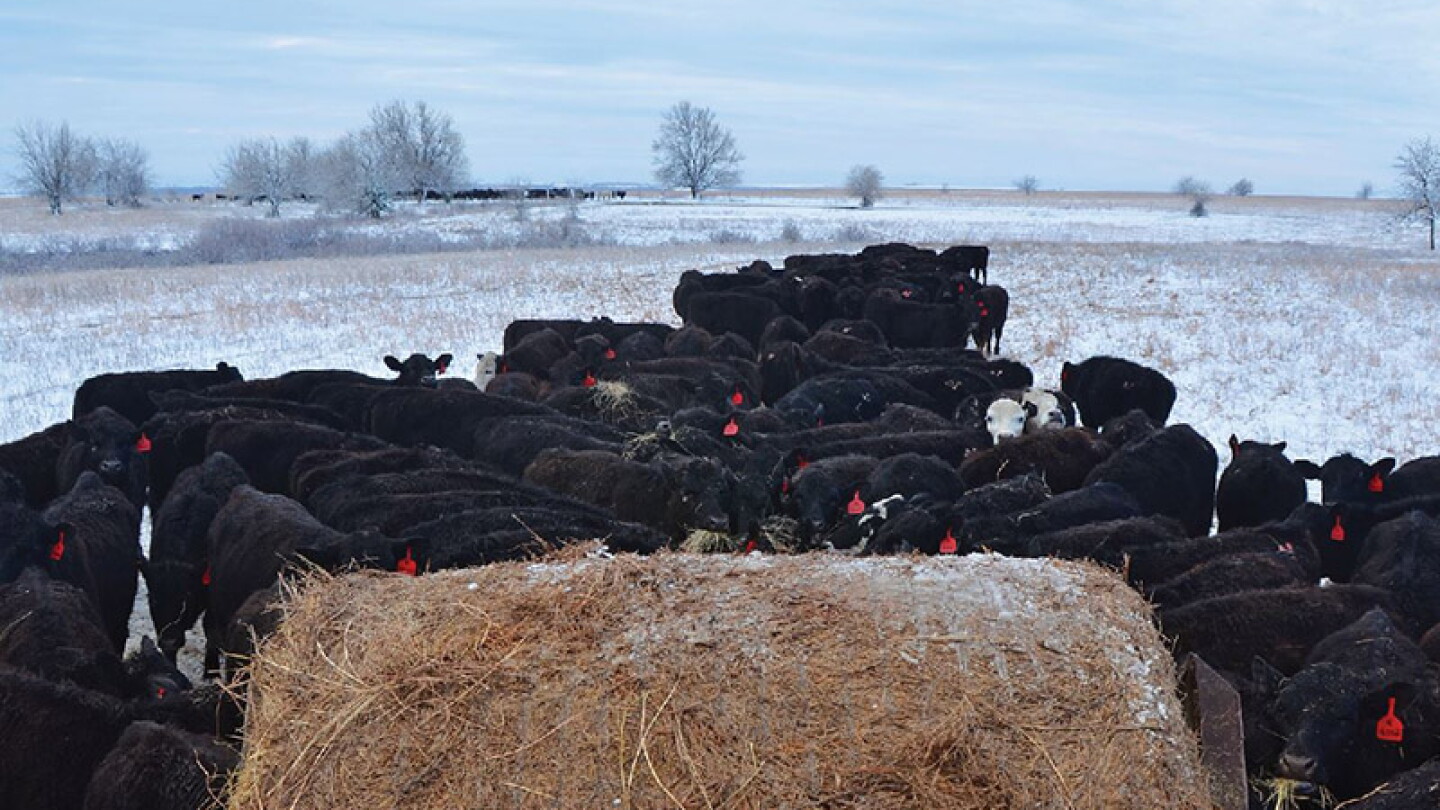 3 Rules When Figuring Winter Hay Supply Needs