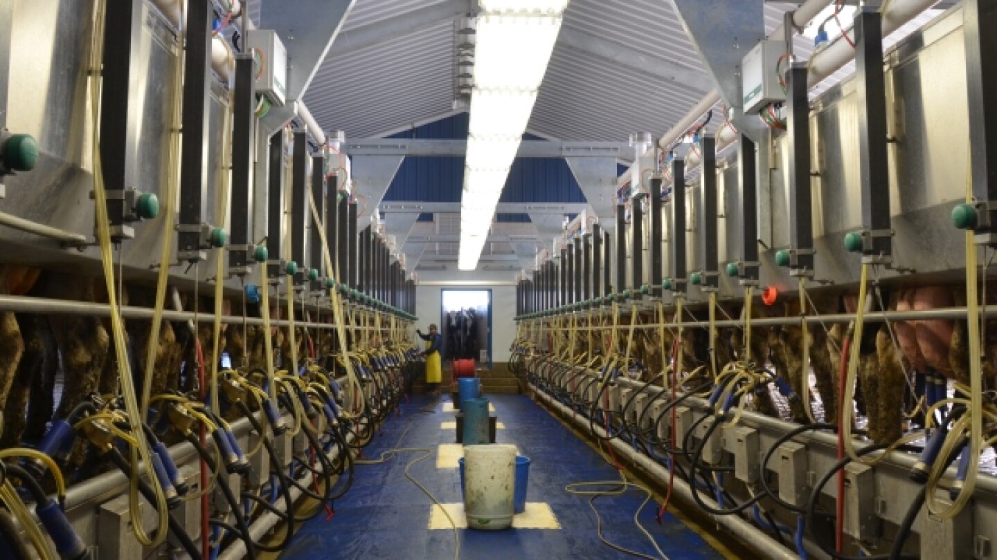 A Slow Spring Squeeze for Dairy - Dairy Herd