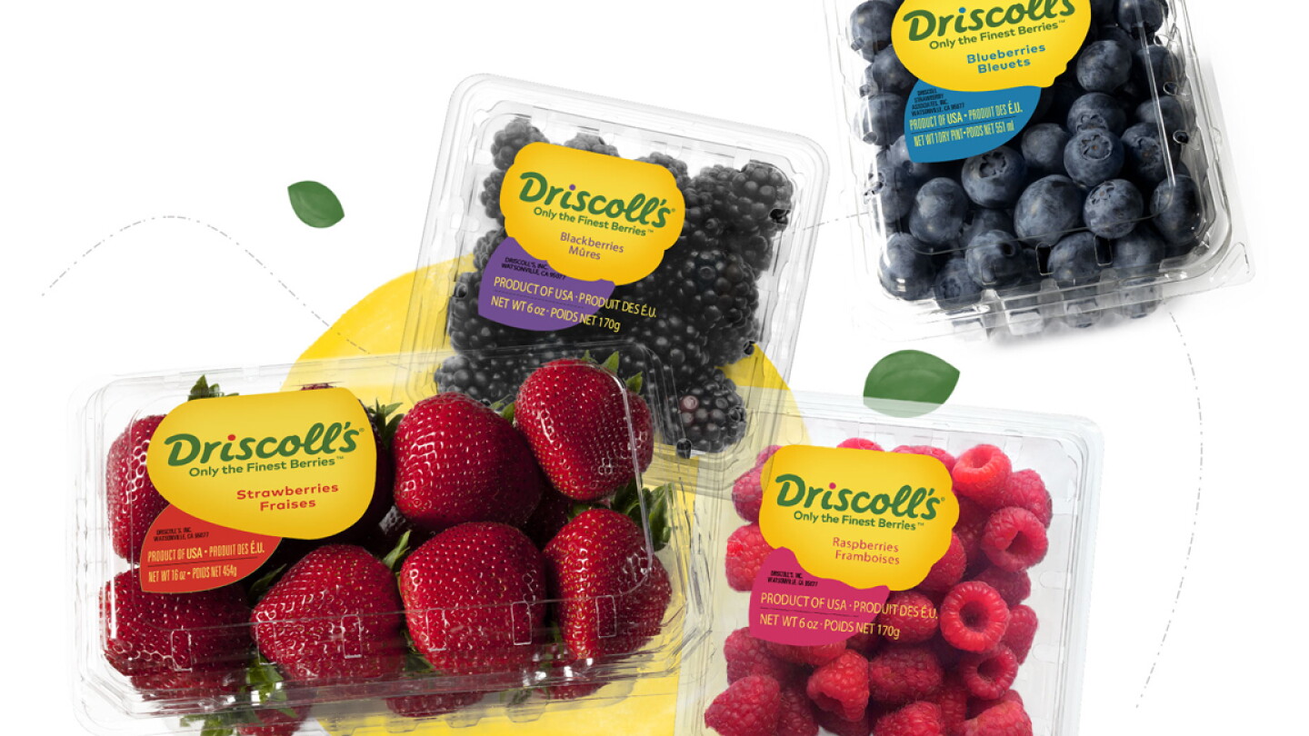 Neil DeFeo retires from Driscoll's board - The Packer