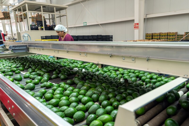 F&S Fresh Foods completes purchase of Calavo Growers’ fresh-cut ...
