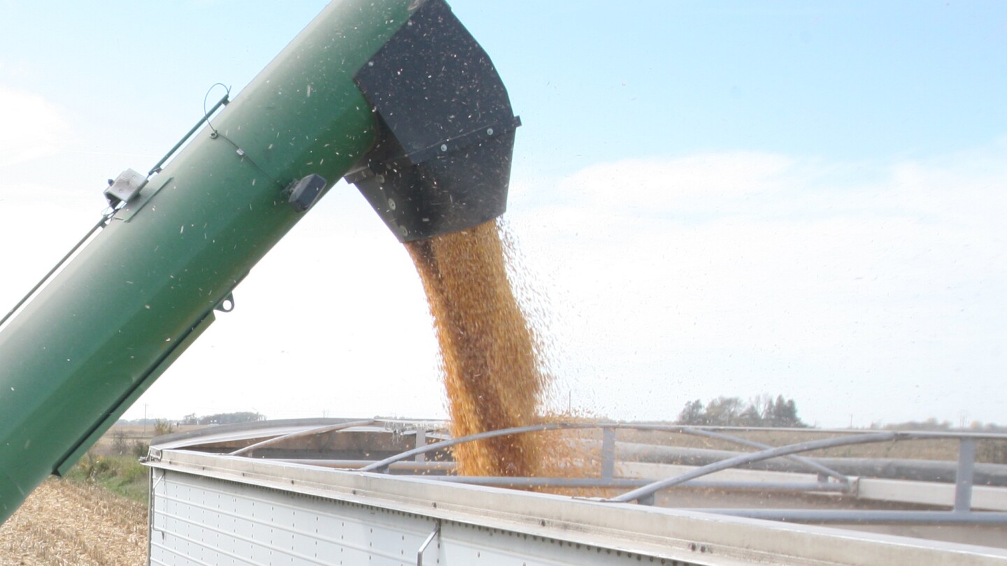 After You Finish Swearing, Here’s How to Fix Bent Unloading Augers - AgWeb