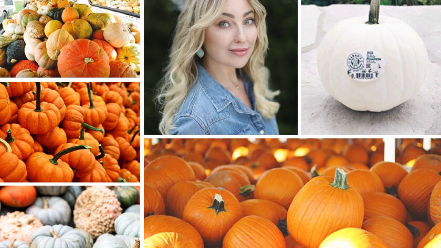 Behold the Bootstrapper: Sarah Frey’s Journey from 80 Acres to a Seven ...