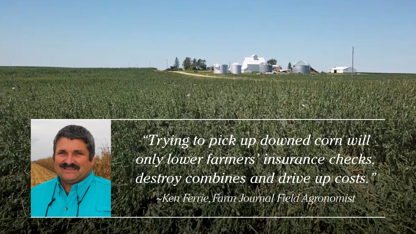 The Last Pass on Abandoned Corn Fields - AgWeb