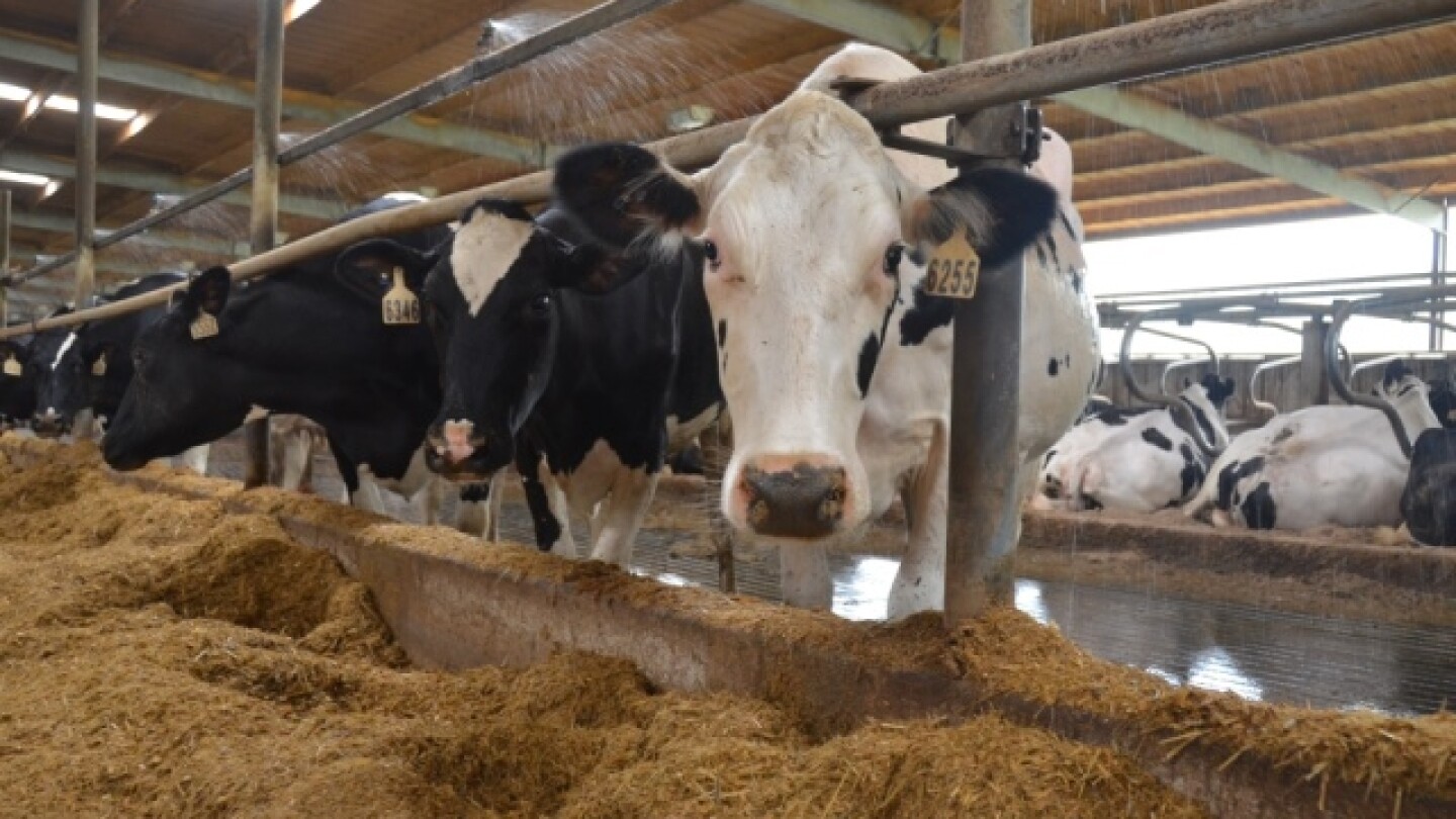 Elanco Enters Agreement with Medgene to Commercialize HPAI Vaccine in ...