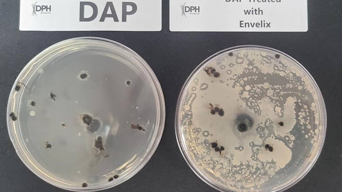 How To Make Fall Fertilizer Applications Do More: Layer With ...