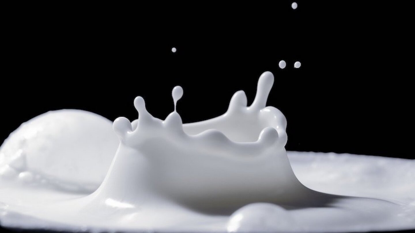 Class IV Milk Prices Plummet - Dairy Herd Management