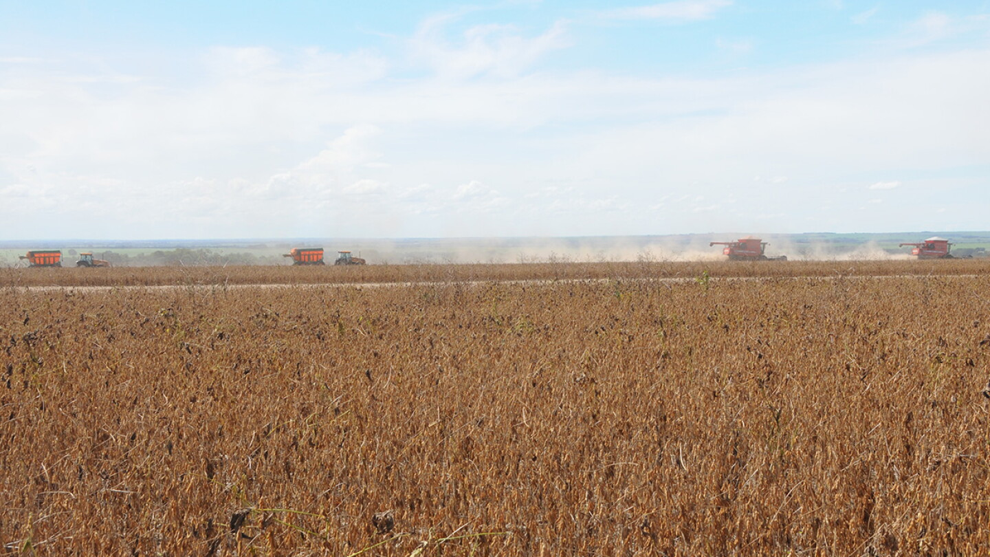 Crop tour confirms 'impressive' Brazilian bean crop - Pro Farmer