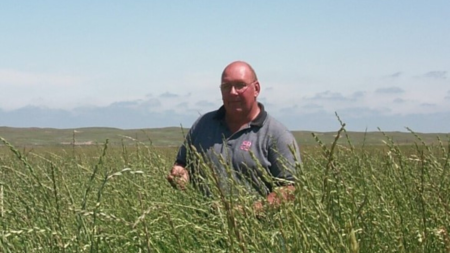 Tips to Maximize Forage Yields When Establishing Perennial Forages