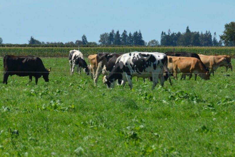 Oregon Agriculture: Navigating Challenges and Embracing Resilience ...