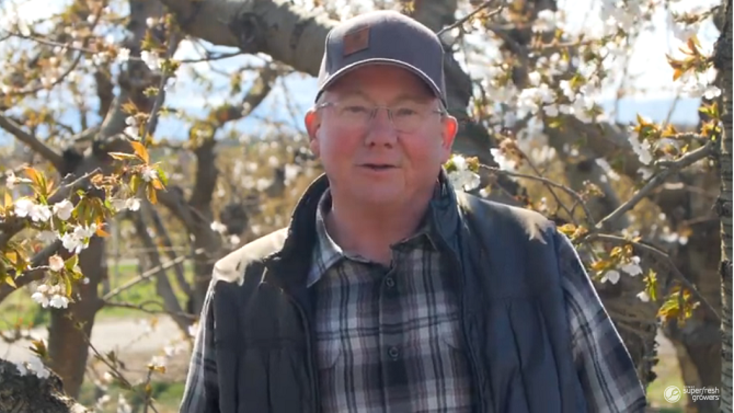 Superfresh Growers gives orchard update - The Packer - Fruit and ...