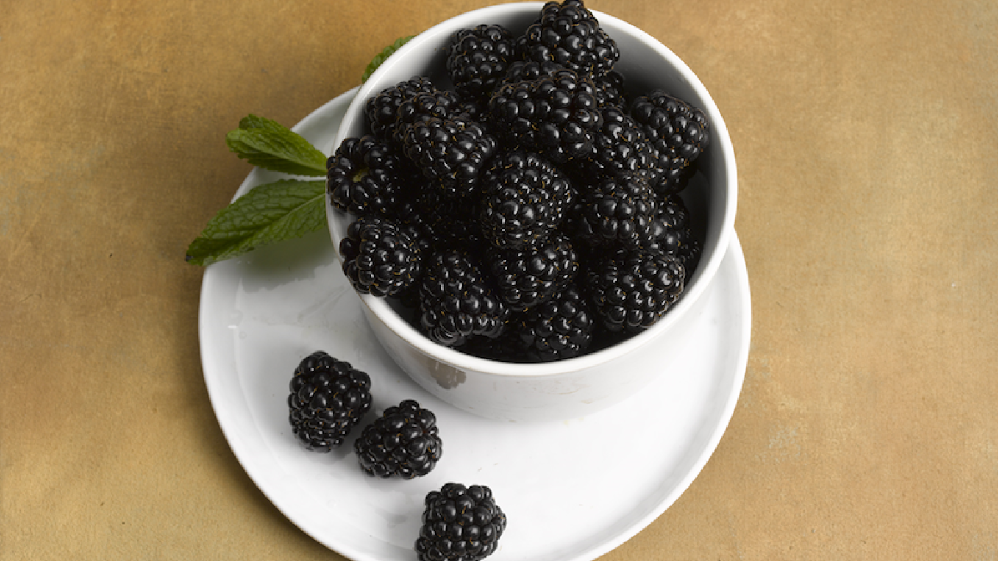 Sweet Karoline blackberries from Berry Fresh to arrive from Mexico ...