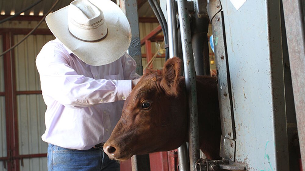 USDA APHIS Launches Interactive Map for Premises ID