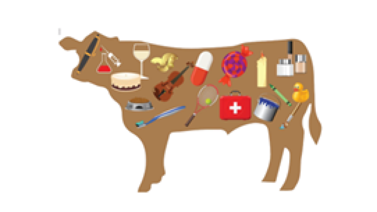 Understanding Beef By-Product Values - Drovers