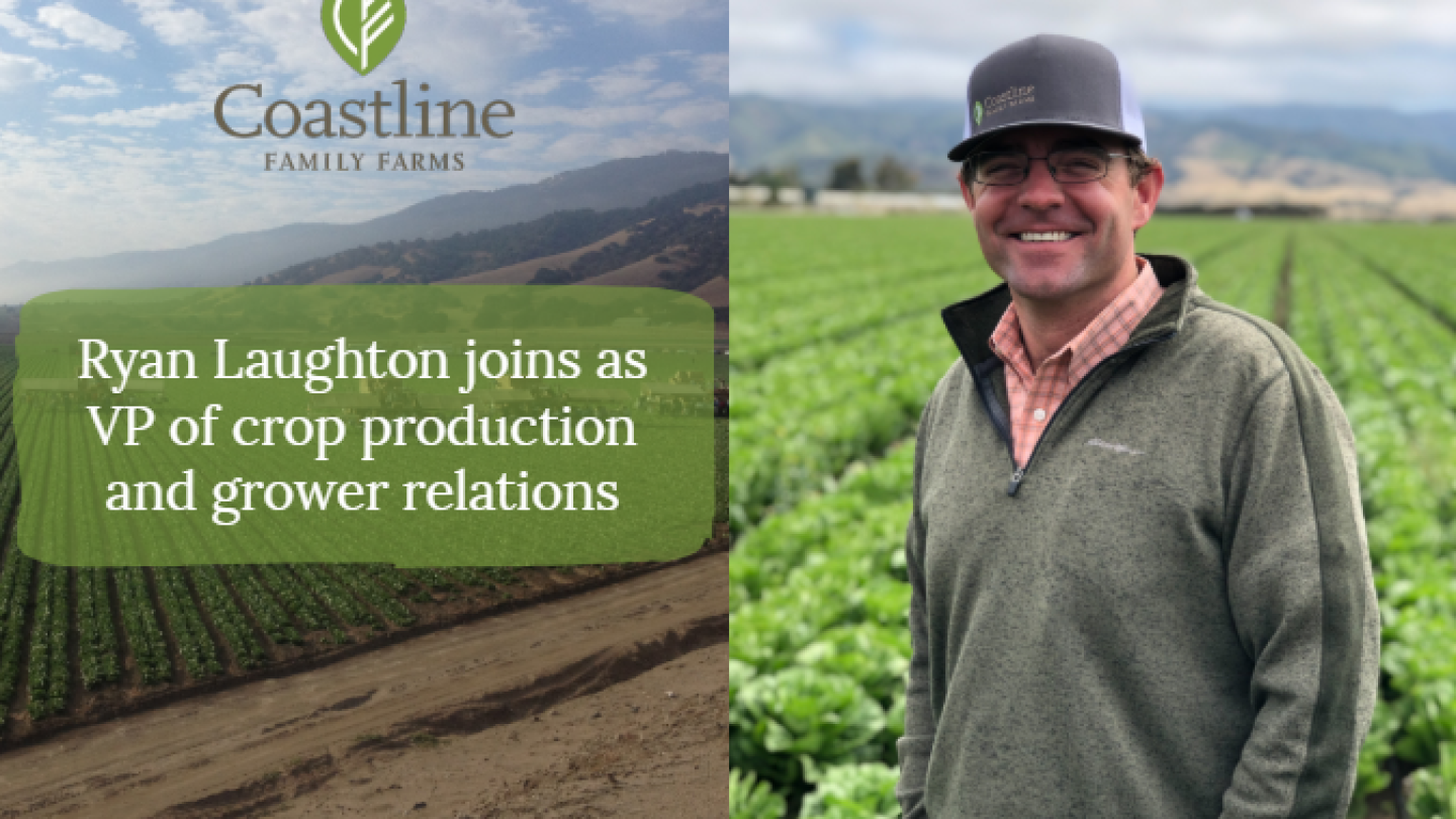 Coastline hires Ryan Laughton as VP of crop production - The Packer