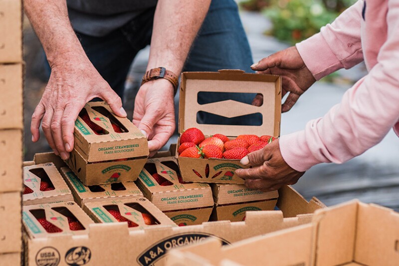 innovative box packaging