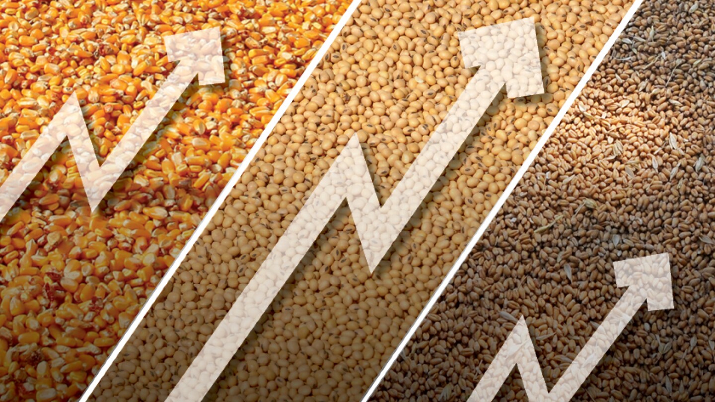 CME Group Expands Daily Price Limits for Grains - AgWeb
