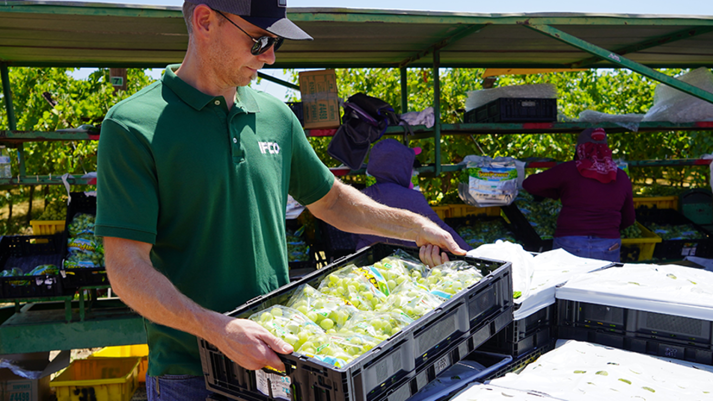 Sustainability, innovation in packaging rising throughout the industry ...