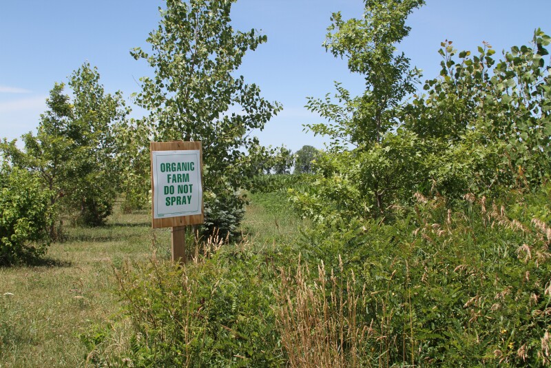 Loans Now Available for Farmers Transitioning into Organic Crops - AgWeb