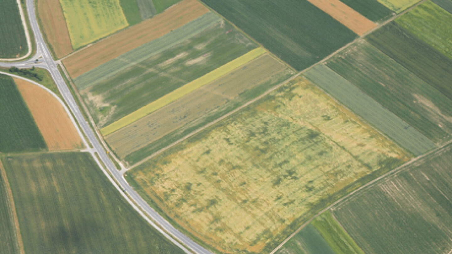 Iowa Land Pros Report Slight Decline in Farmland Values - Pro Farmer