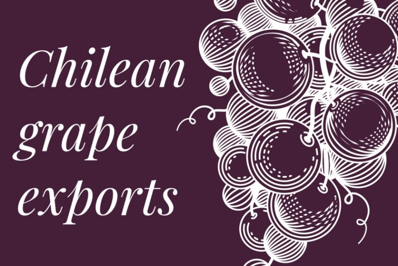 USDA extends comment period for proposed importation of Chilean grapes under systems approach ...