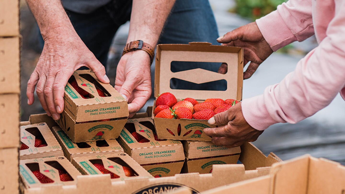 How sustainability is factoring into packaging innovation - The Packer ...