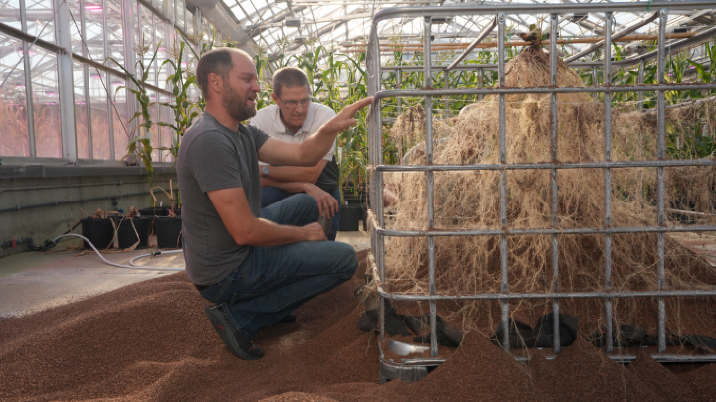 Scientists say the New Frontier for Corn Research is Found in the Crop ...