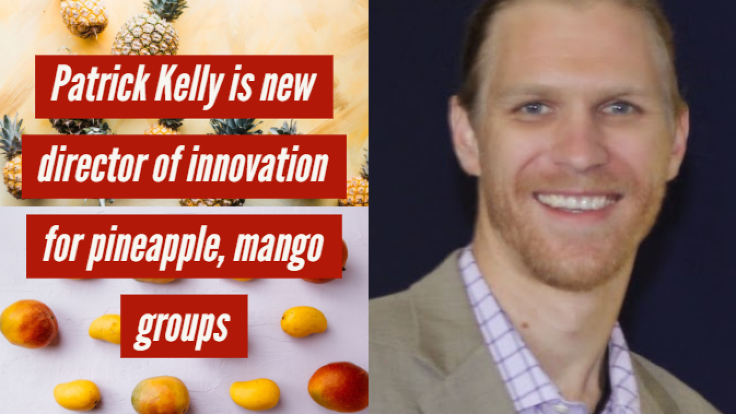 International mango, pineapple groups hire Patrick Kelly - The Packer