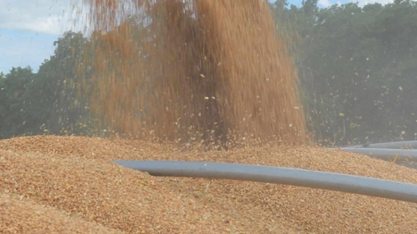 IGC Lowers Global Wheat, Corn Production Forecasts - AgWeb