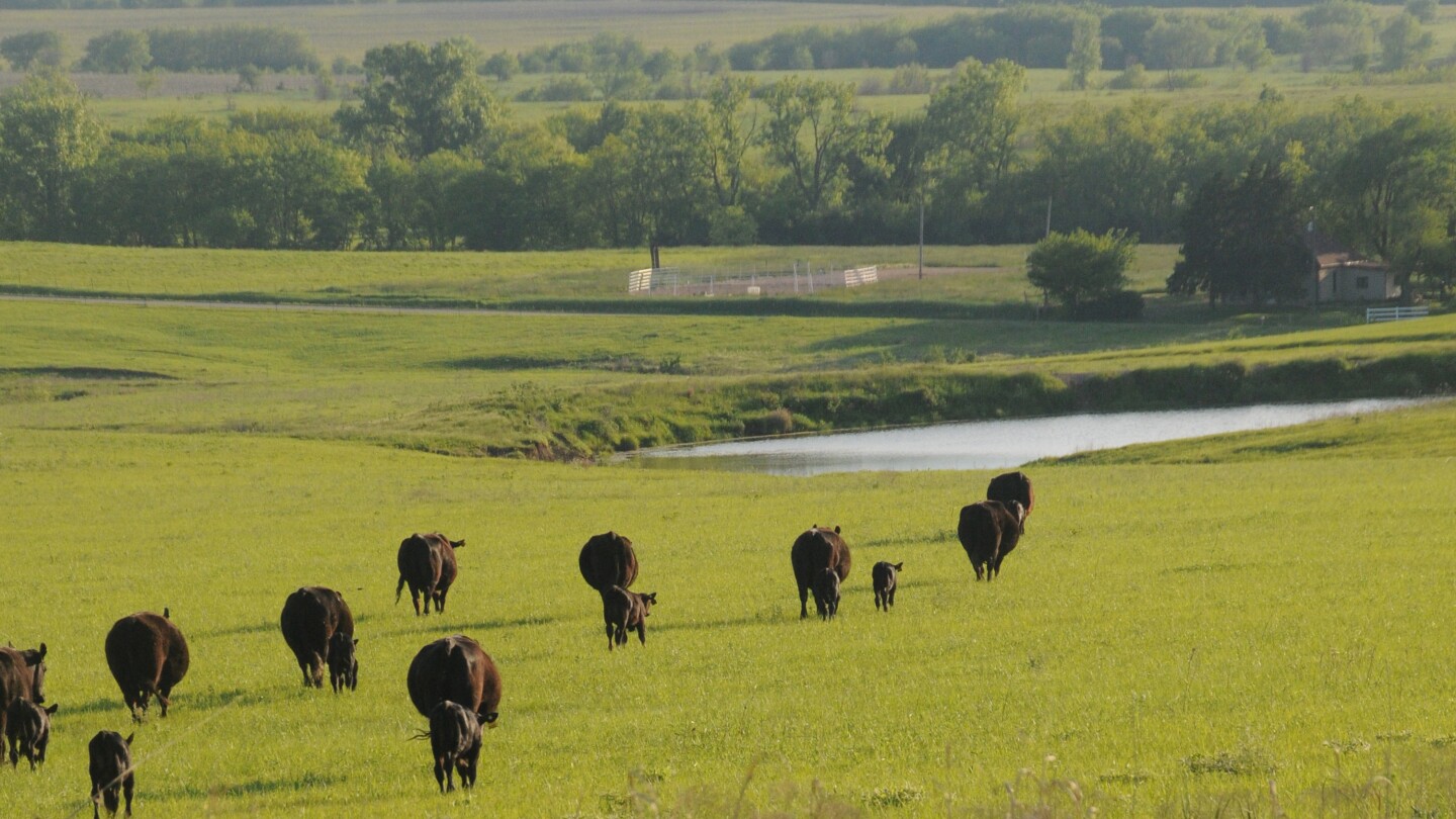 Domer Retires After More Than Three Decades With KLA - Drovers