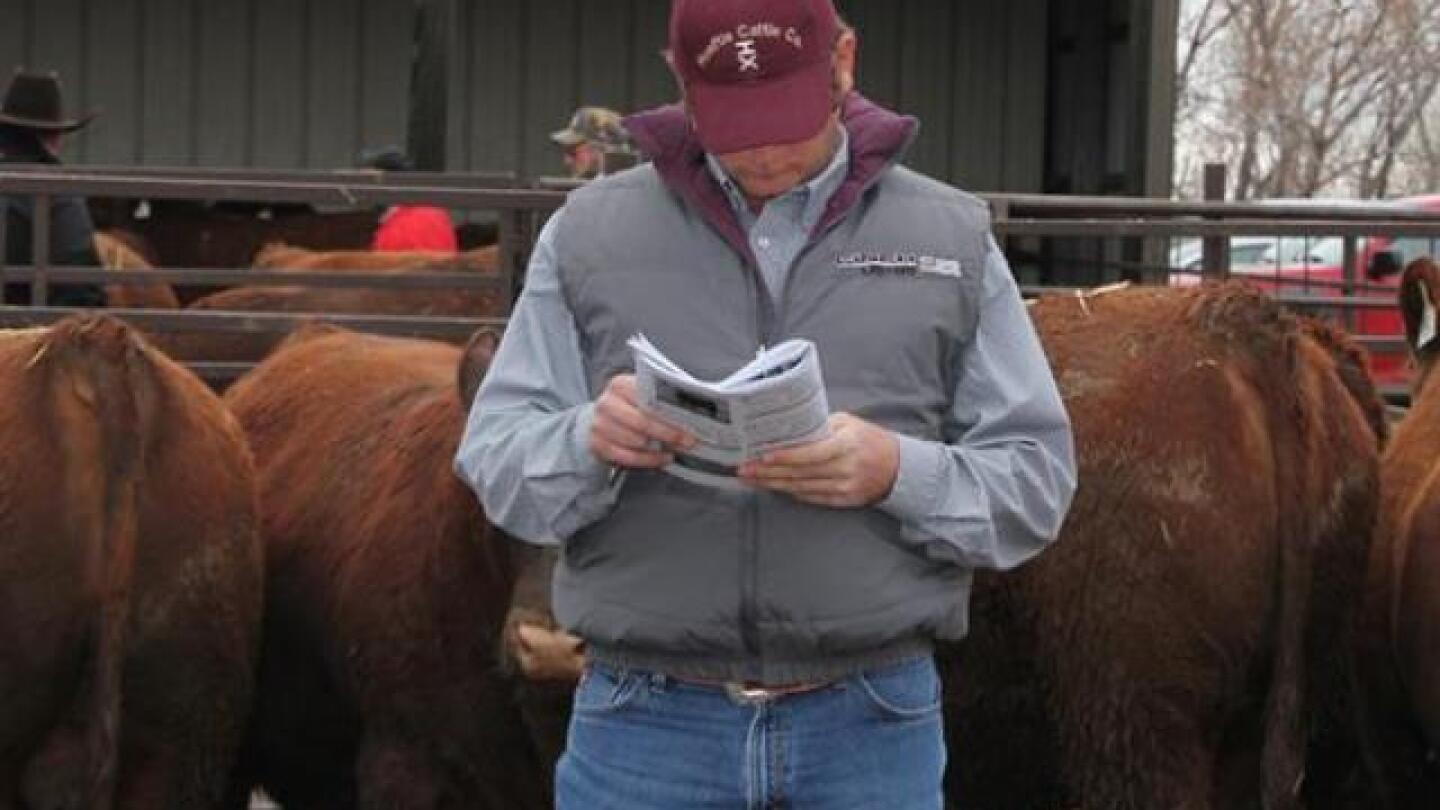 Advertising Seedstock 101: Know Your Customers - Drovers